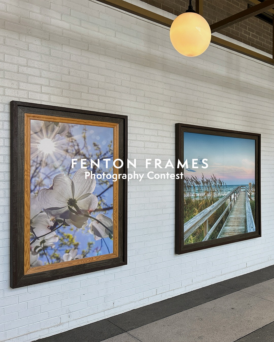 Fenton Frames Competition Returns - Wake Living